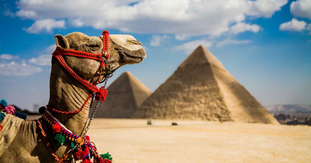 07D 06N Cairo + Sinai + Alex | Corsini travel